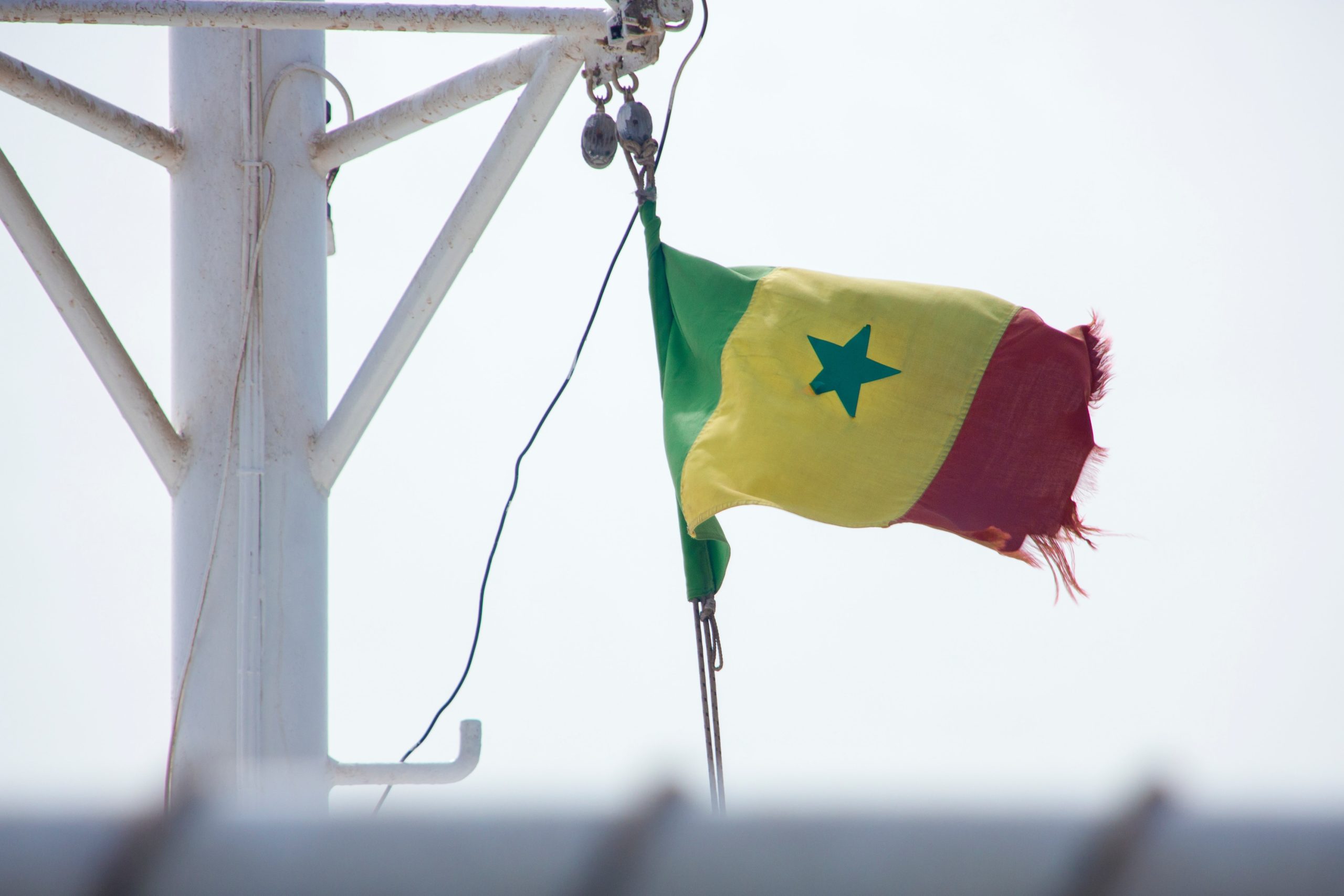 Import duties in Senegal - My Business Network